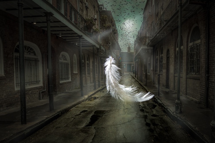 Altered Reality | Michael Palumbo Photography