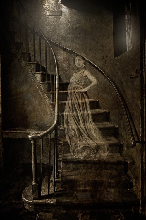 Altered Reality | Michael Palumbo Photography